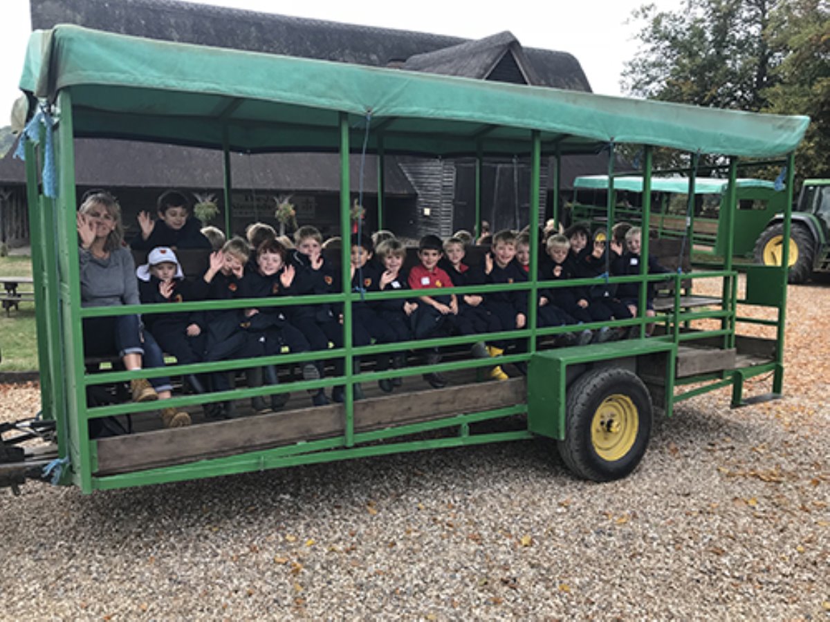 Year 2 Trip to Rushall Farm | News | Moulsford Prep School