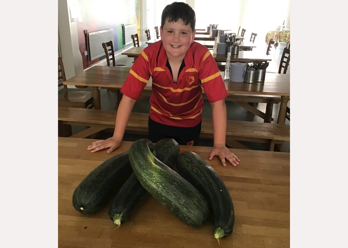 Sustainable school | News | Moulsford Prep School