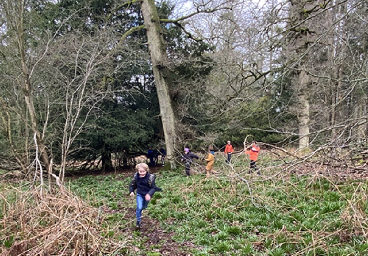 Year 4 Forest School | News | Moulsford Prep School