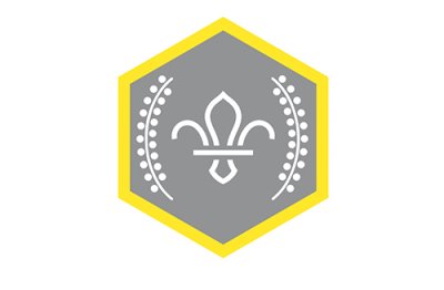 Chief Scouts Silver Award | News | Moulsford Prep School